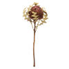 Vickerman - Item Details